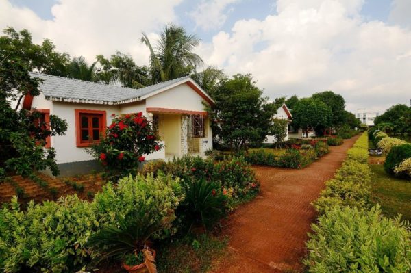 Tajpur: Know Everything and Find Best Places to Stay