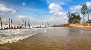 Tajpur: Know Everything and Find Best Places to Stay