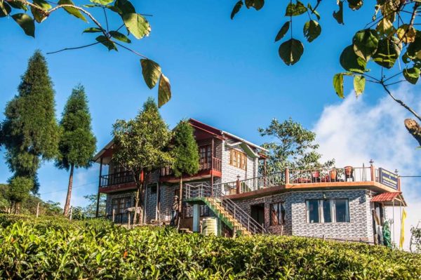 Kurseong: Ultimate Guide To Plan Your Trip and Best Suggestions